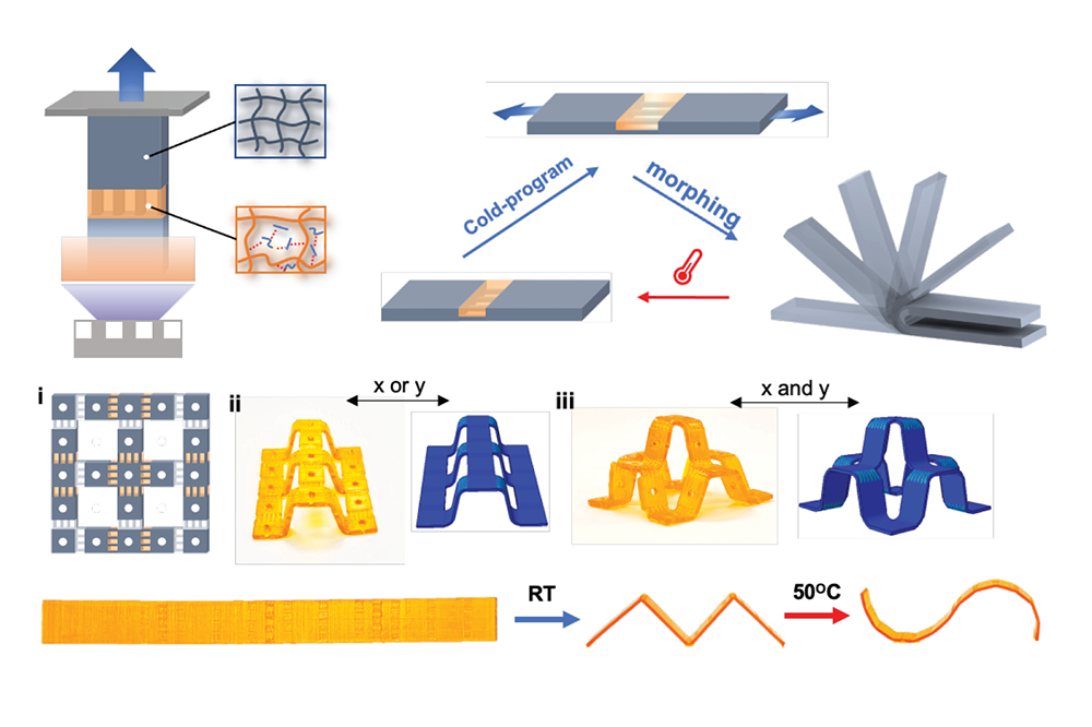 Cold Programmed Shape Morphing Structures Based On Grayscale Digital